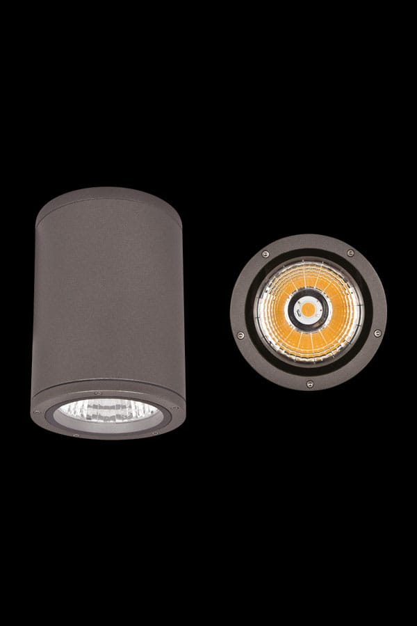Venus Outdoor Ceiling Mounted Light