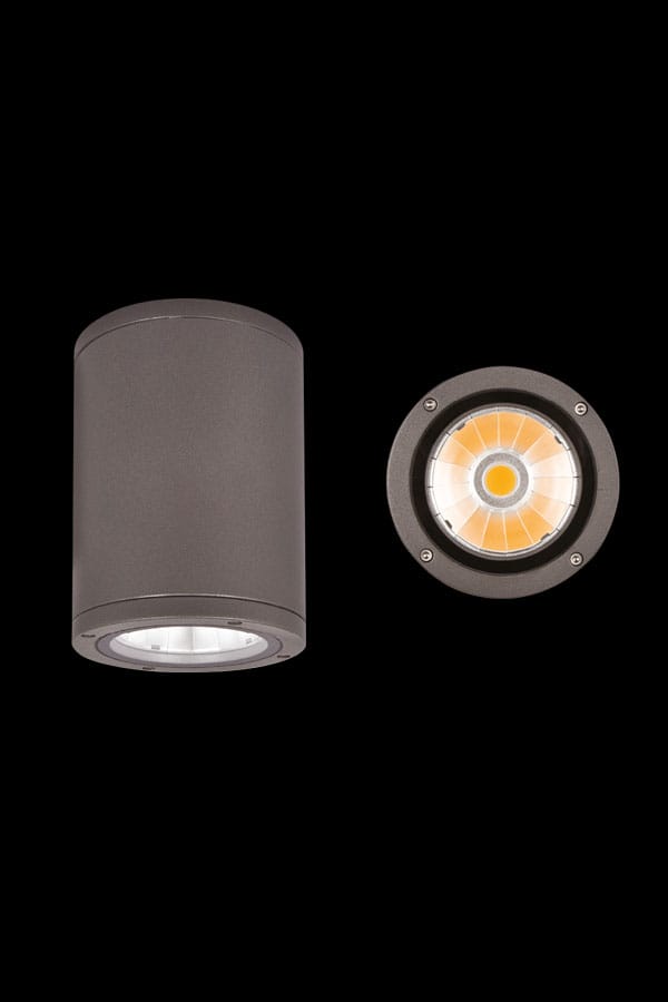 Venus Outdoor Ceiling Mounted Light