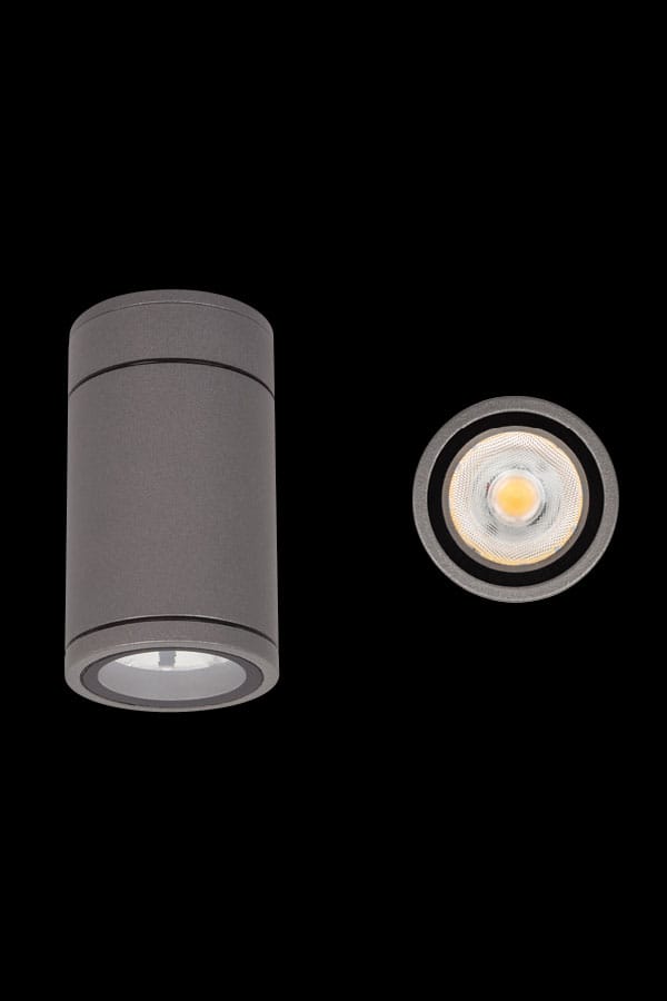 Venus Outdoor Ceiling Mounted Light
